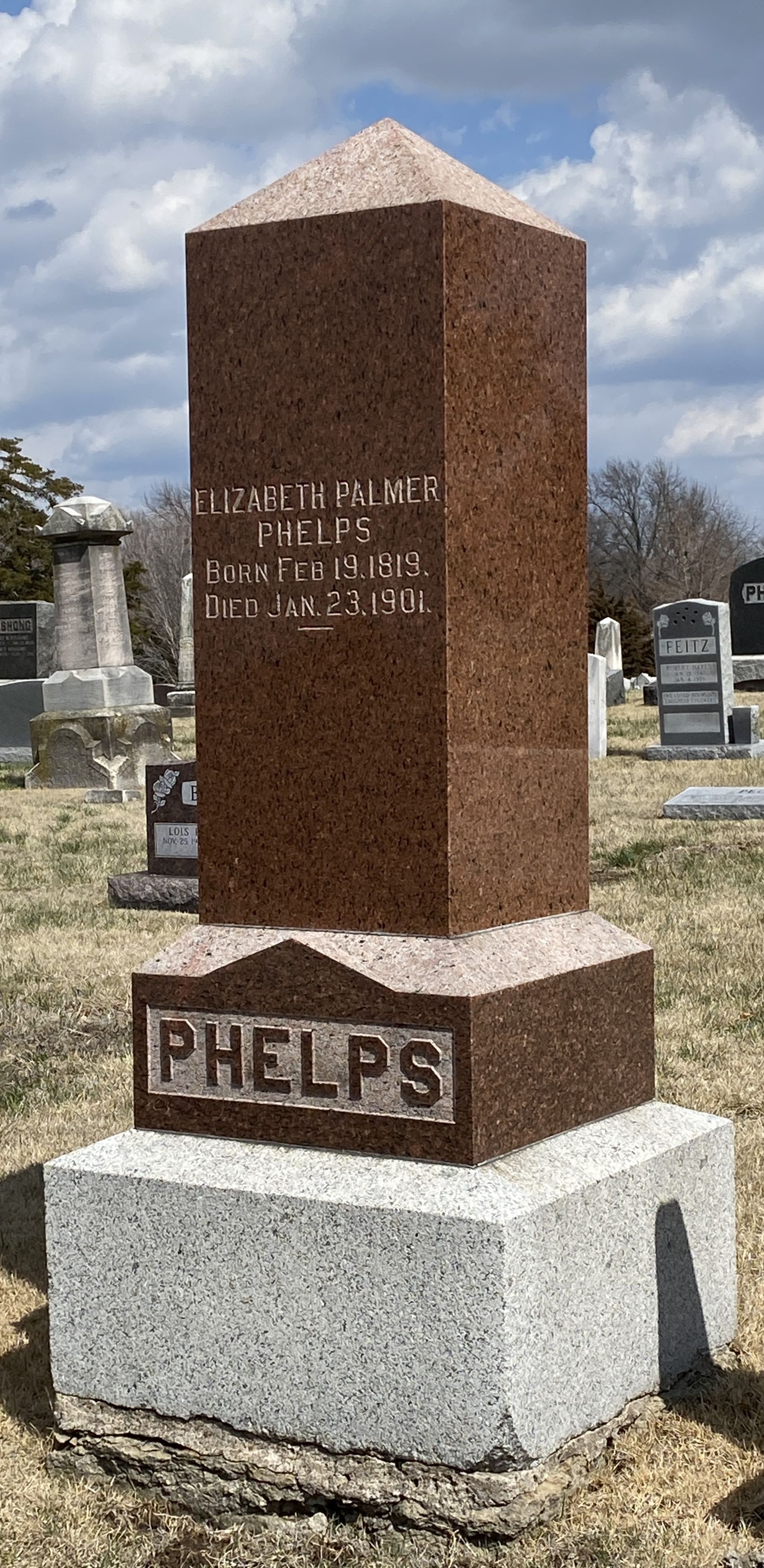 Elizabeth Phelps - Remember My Journey