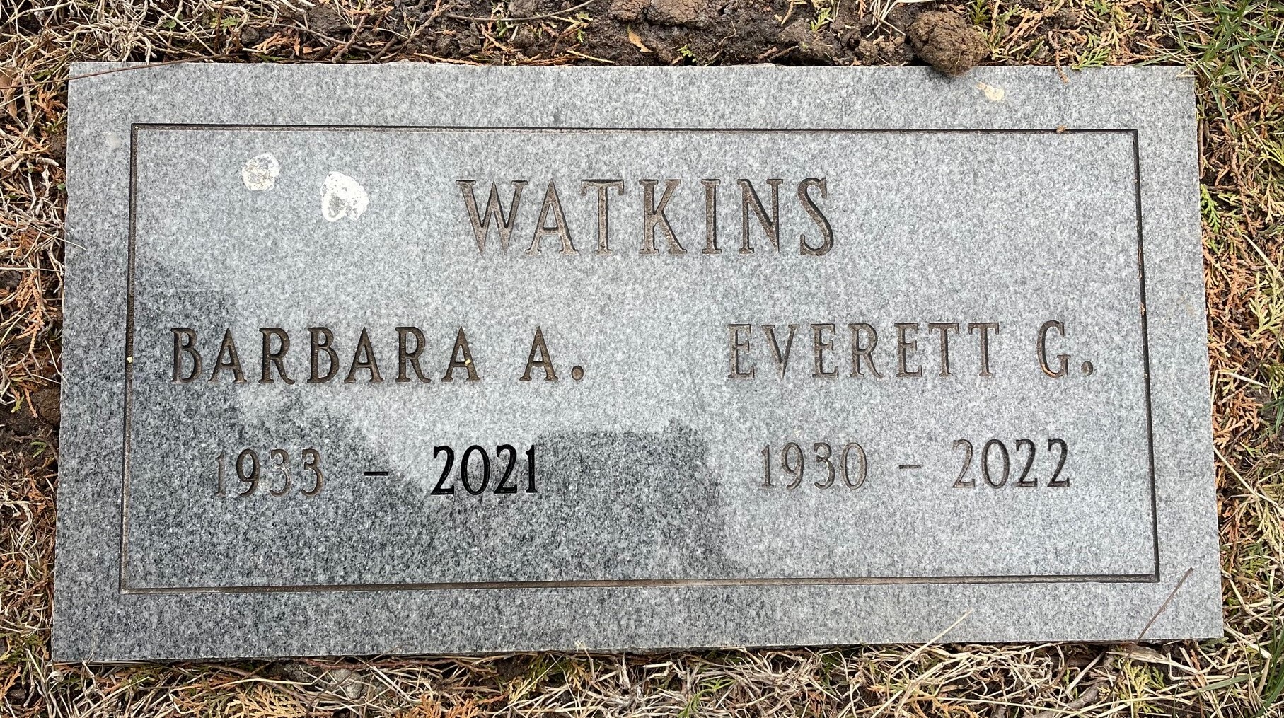 Everett George Watkins Sr - Remember My Journey